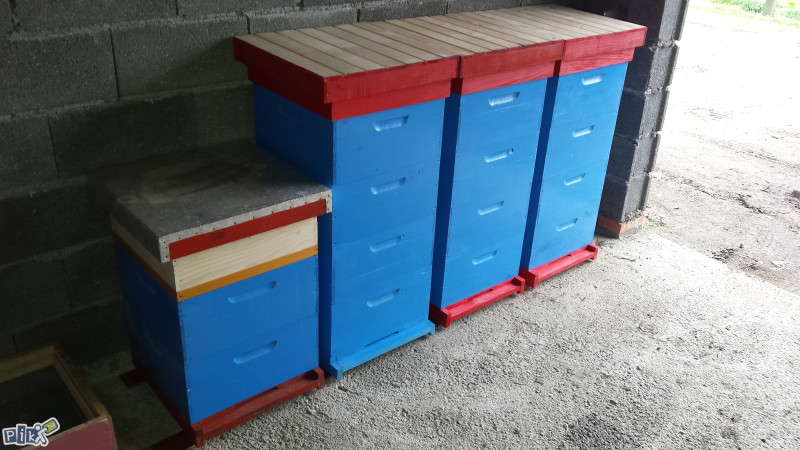 KOSNICE RODNA VOJA - Košnice - OLX.ba