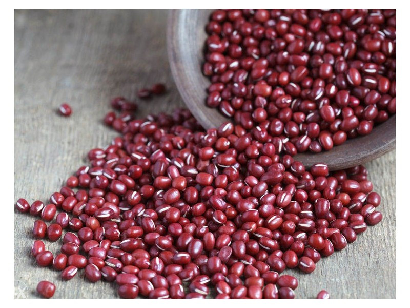Domaće sjeme Pasulj grah azuki sjeme 100 sjemenki - Sjemena - OLX.ba