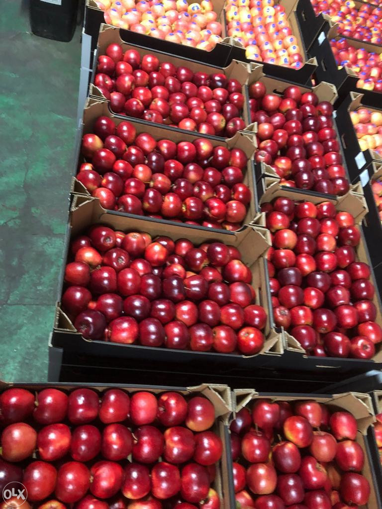 Jabuke jabuka - Poljska ponuda za uvoznike - Voće - OLX.ba