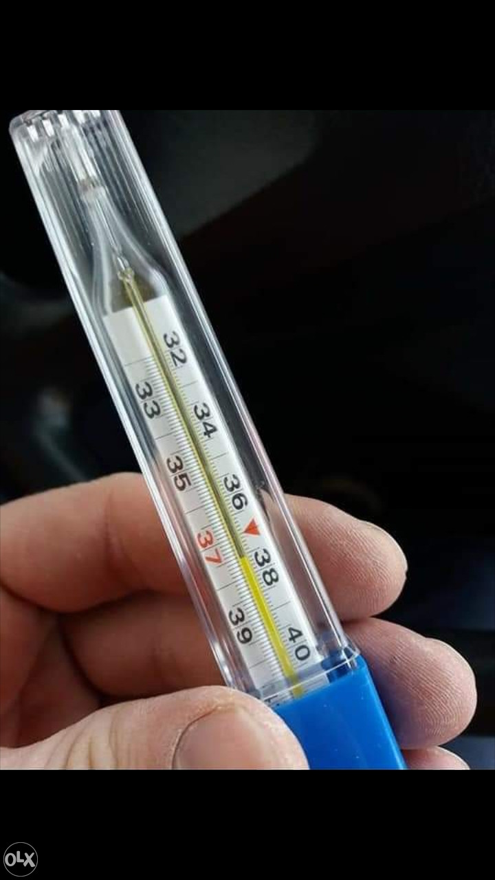 061484953 Toplomjer zivin Toplomjer sa zivom 061484953 - Termometri ...