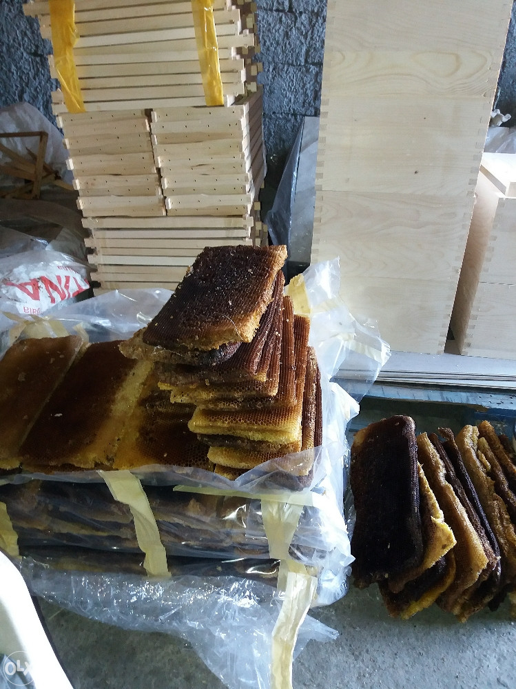 Kupujem staro sace (vosak) pcele - Potražnja - OLX.ba