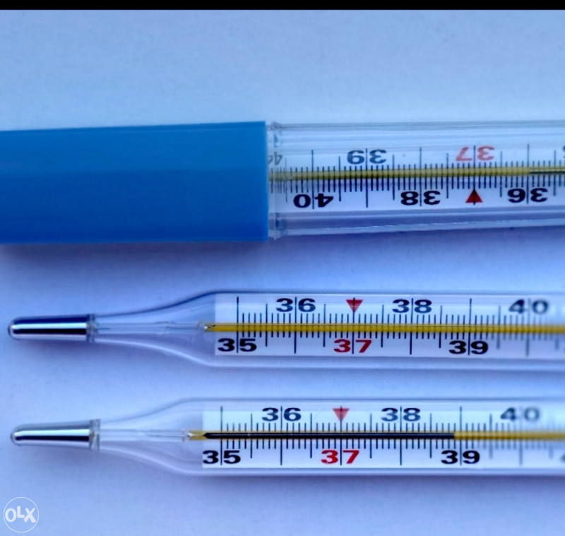Toplomijer sa živom Živin toplomjer u fotroli zivin - Termometri - OLX.ba