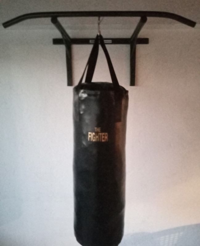 VRECA ZA BOX(gratis dostava) - Vreće za boks - OLX.ba