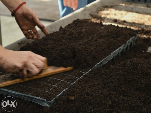 Zemlja (humus) za cvijece/povrce/voce/rasadu/staklenike - Zemlja za ...