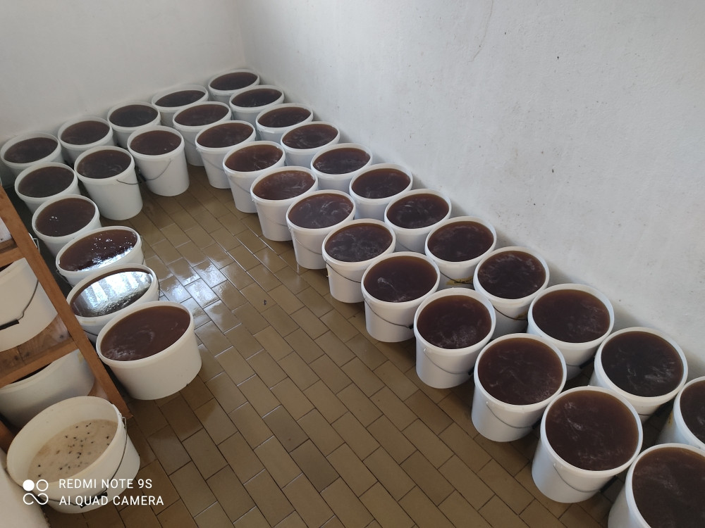 prodaja meda propolisa i pcela - Med i proizvodi od meda - OLX.ba