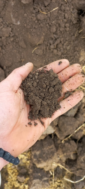 HUMUS ZEMLJA ZA UREDJENJE DVORISTA BANJA LUKA - Zemlja za cvijeće - OLX.ba