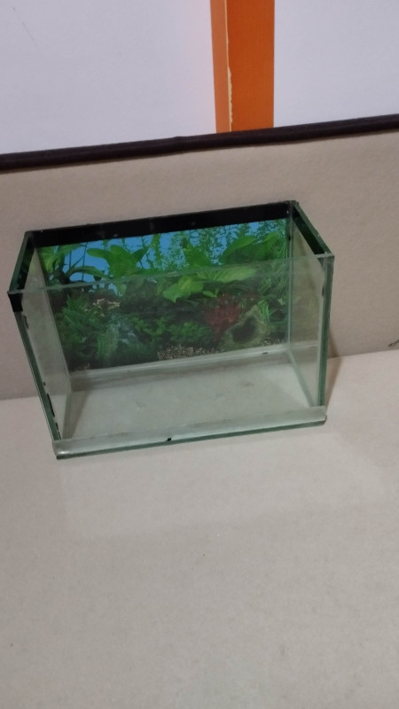 AKVARIJUM ZA RIBE ILI KORNJAČE MANJI SA SLIKOM - Akvarijumi - OLX.ba