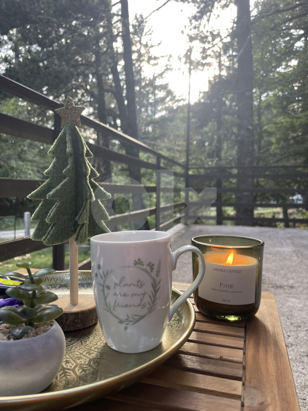 Vikendica planinska kuća Rujiste Mostar - Vikendice - OLX.ba