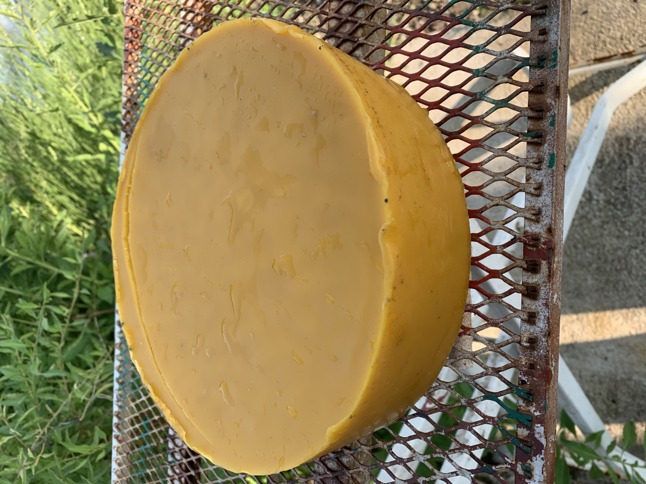 Pcelinji vosak - Med i proizvodi od meda - OLX.ba