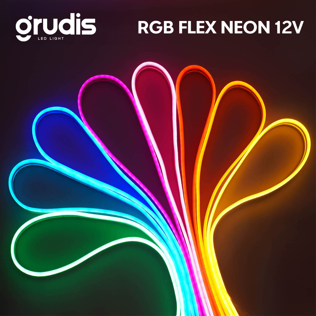 RGB FLEX NEON 12V IP65 LED TRAKA - LED rasvjeta - OLX.ba