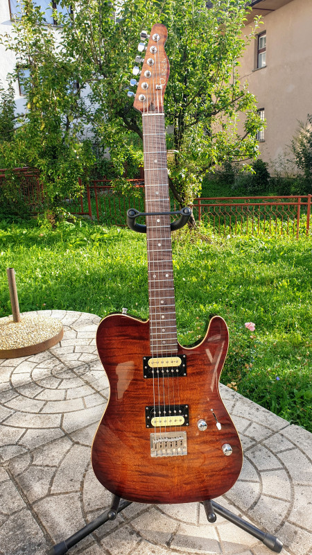 Q Rich handmade gitara - Električna gitara - OLX.ba