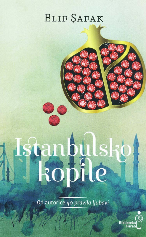 Istanbulsko kopile knjiga - Beletristika - OLX.ba