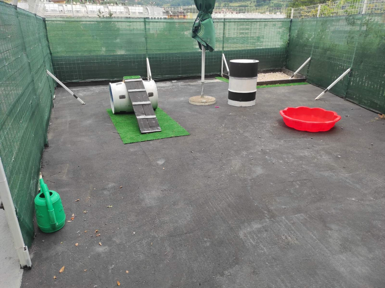 Pansion za cuke i mace - Veterinar, njega i čuvanje životinja - OLX.ba