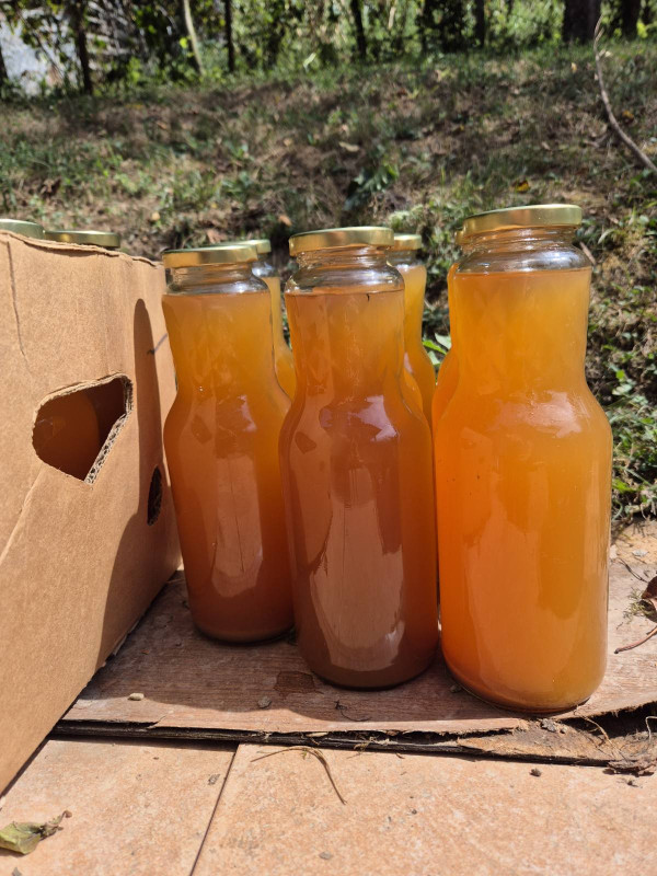 Domaci sok od jabuke - Sokovi - OLX.ba