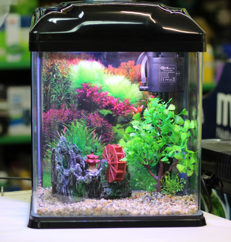 Akvarijum za ribice - Akvarijumi - OLX.ba