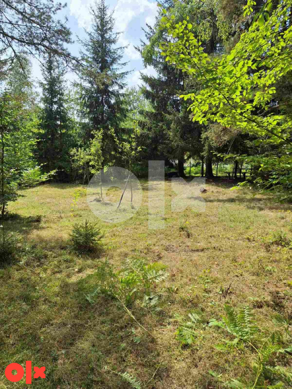 Zemljiste Nisici Nisicka visoravan - Zemljišta - OLX.ba