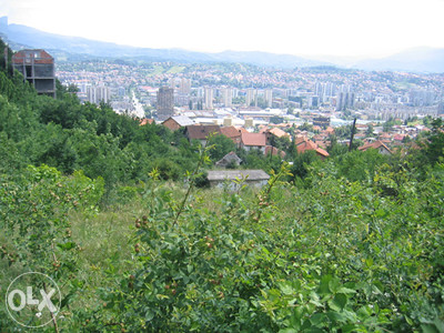 Pofalici 1899 m2 - Zemljišta - OLX.ba