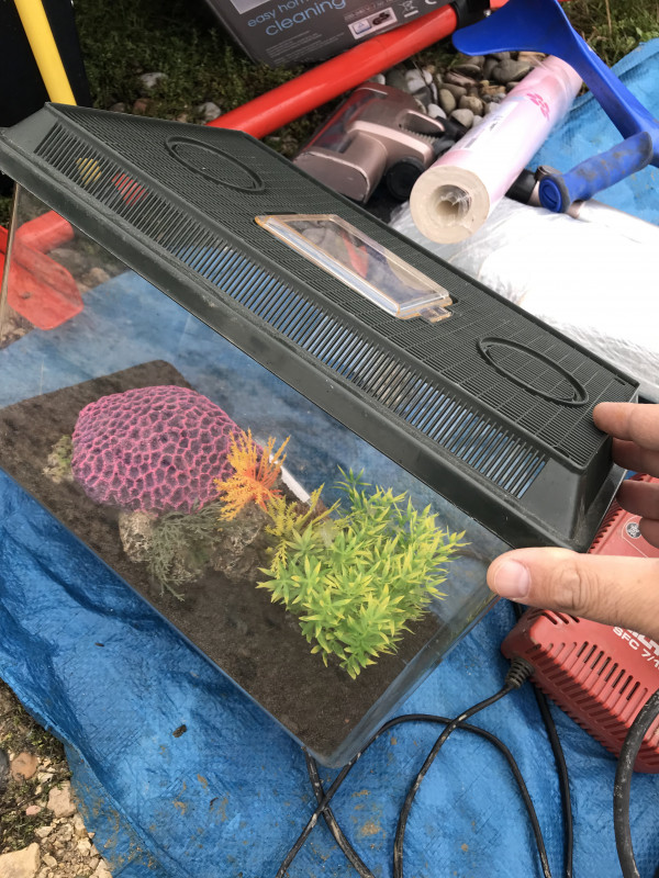 Akvarij za ribice - Akvarijumi - OLX.ba