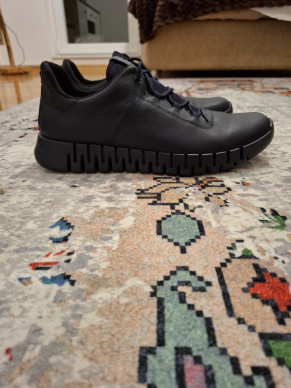 ECCO cipele GTX/48 - Cipele za muškarce - OLX.ba