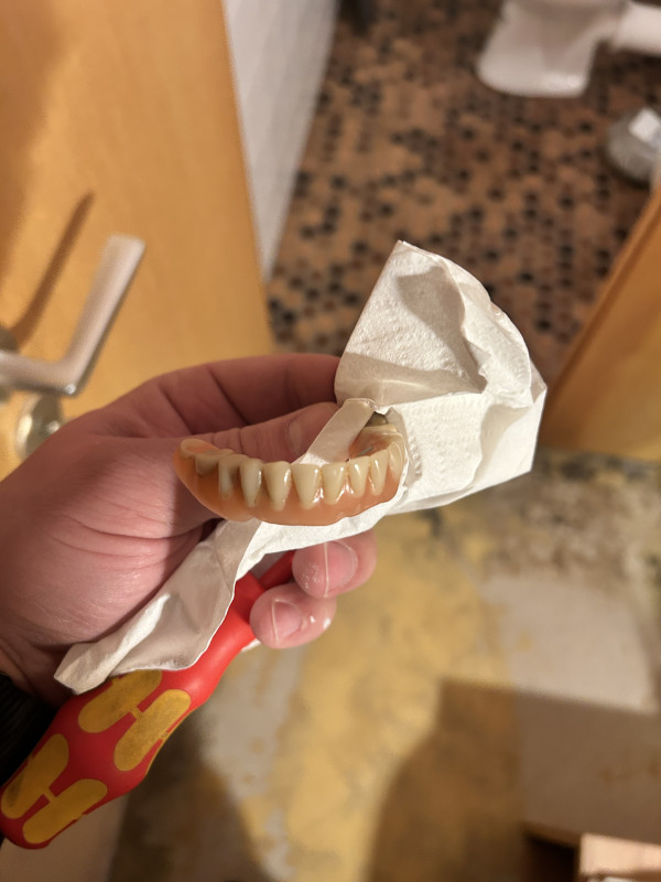 Zubi proteza set - Ostali uređaji i pribor za zube - OLX.ba