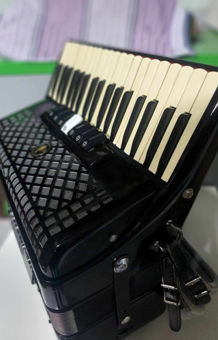 HARMONIKA 96 BASOVA GOLDENCUP (SCANDALLI) - Harmonika - OLX.ba