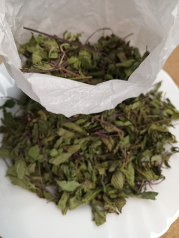 Caj menta - Čajevi - OLX.ba