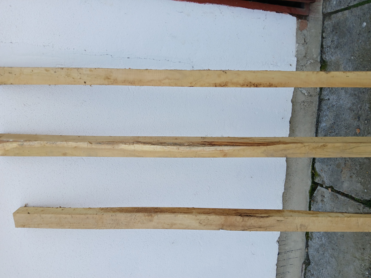 Bagremovo kolje - Ograde - OLX.ba