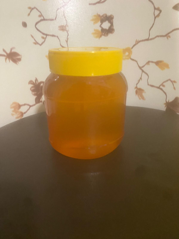 Domaci med Divcibare - Med i proizvodi od meda - OLX.ba