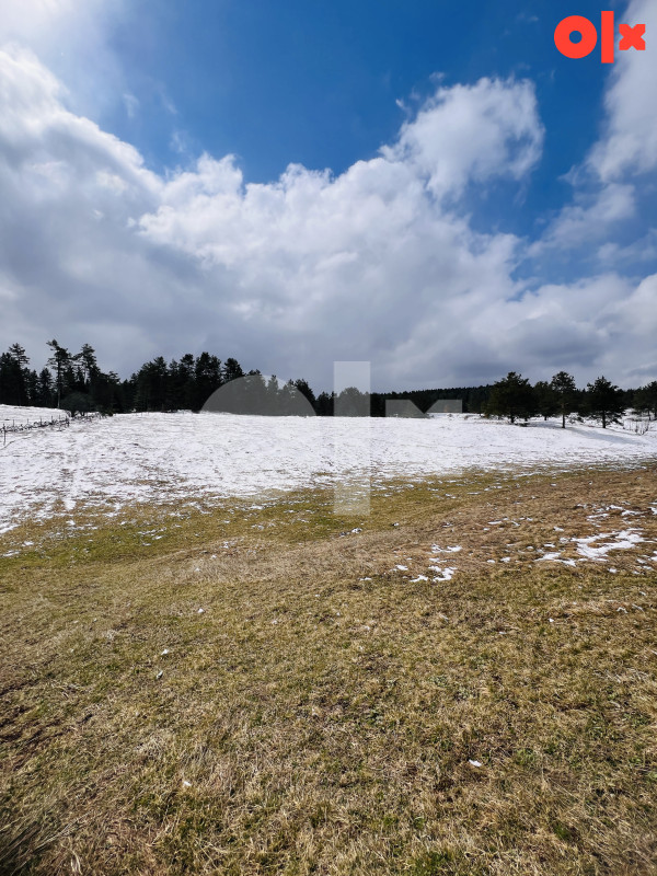Zemljište Ravna Romanija, Sokolac 40000m2 - Zemljišta - OLX.ba