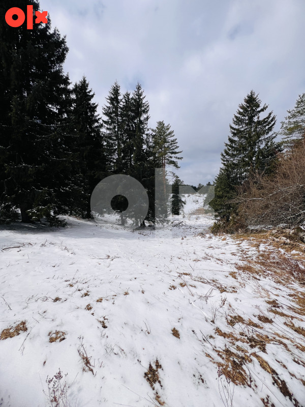 Zemljište Ravna Romanija 1000m2 - Zemljišta - OLX.ba