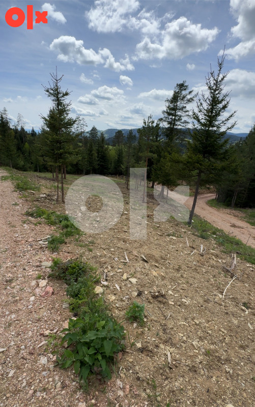 Zemljište Sarajevo - Nisicka visoravan - Zemljišta - OLX.ba