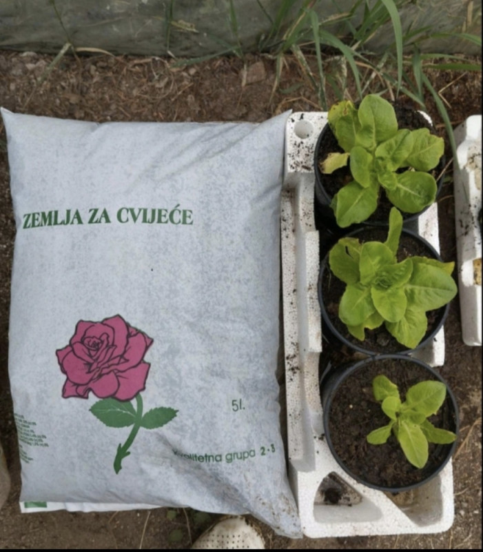 Zemlja crnica za cvijece - humus - Zemlja i gnojivo za vrt - OLX.ba