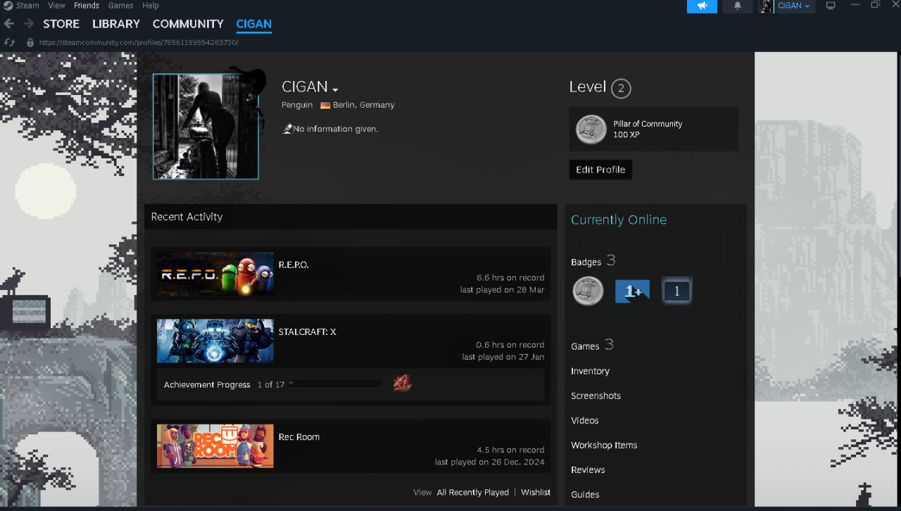 Steam Account Rust, Sea of Thieves, CS, R.E.P.O........ - Igre za PC i ...