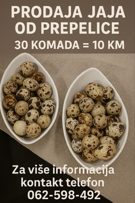 Jaja od prepelice - Prepelice - OLX.ba
