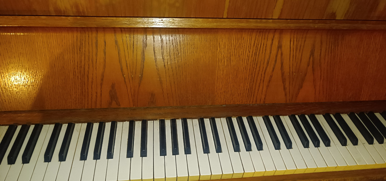 Klavir August Forster - Klavir - OLX.ba