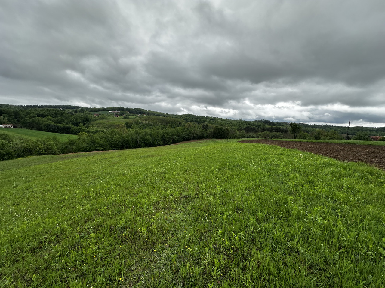 Zemljište u Slatini -Petra Pecije - 14.048 m2 - Zemljišta - OLX.ba